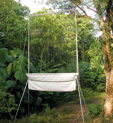 Austbat Harp Trap - Two bank, 4.2 m square: NHBS